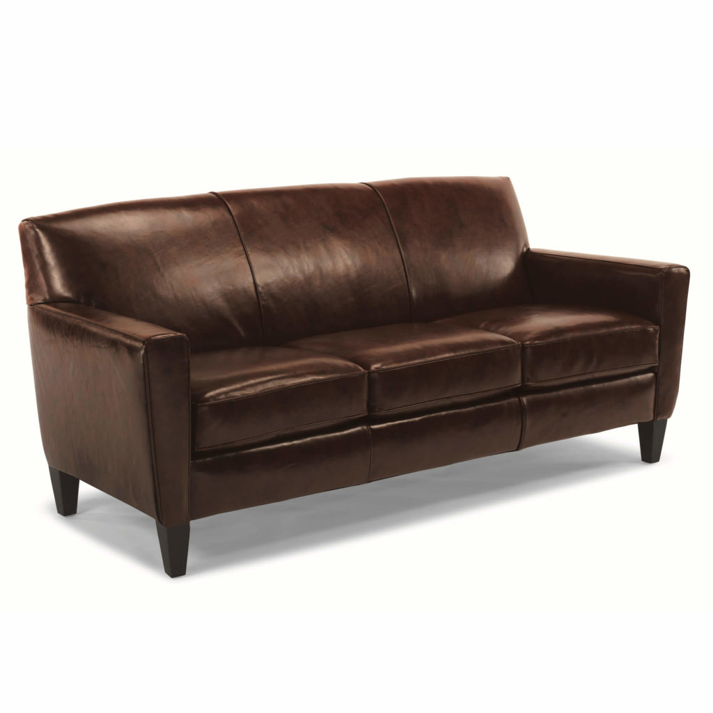 Digby Sofa – Waunakee Furniture
